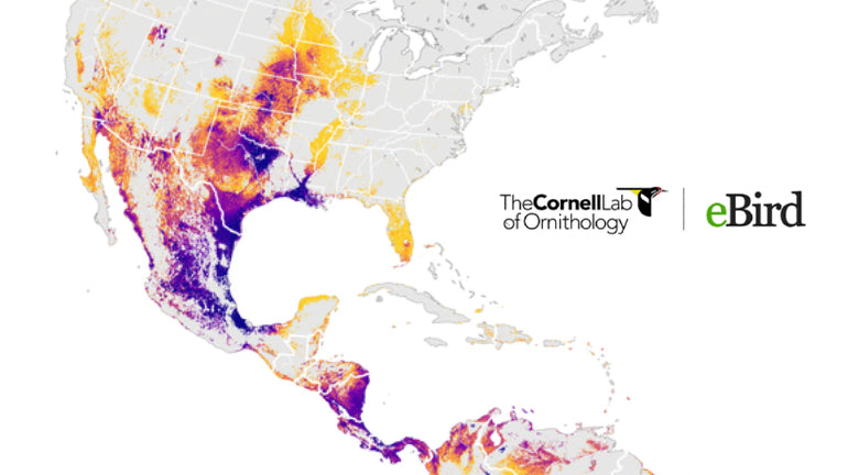 Maps to Enhance Your Bird Watching This Migratory Season | Map Geek.com